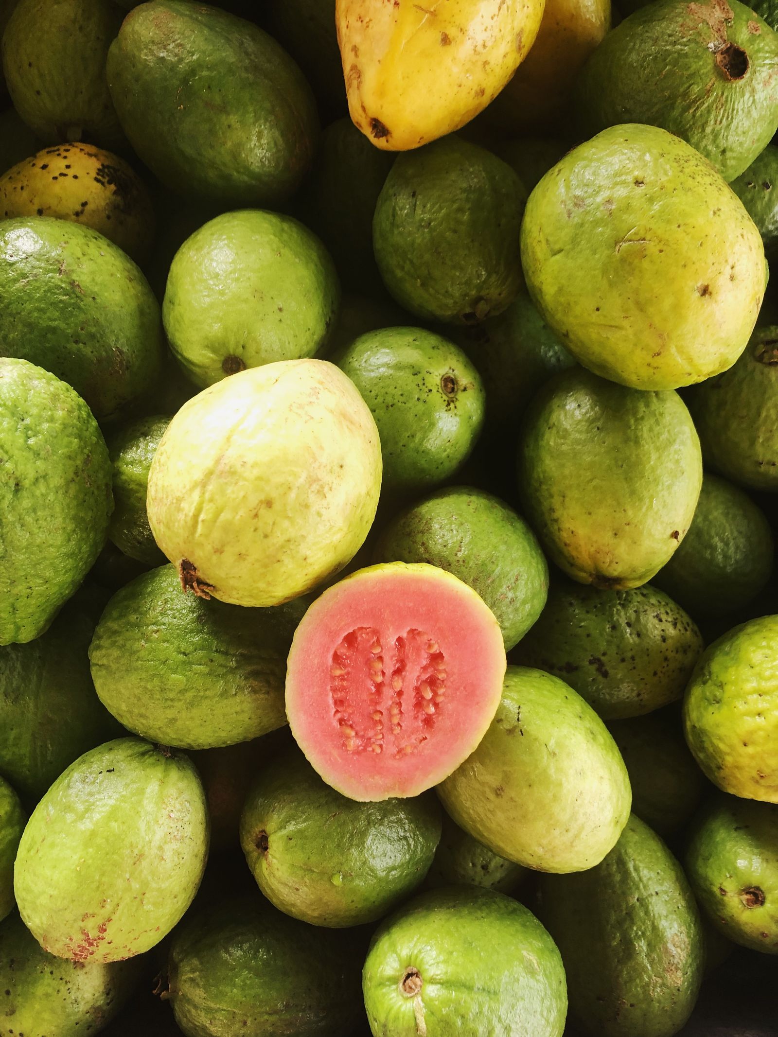 Sabores de Guayaba en Calvillo · Vívelo México